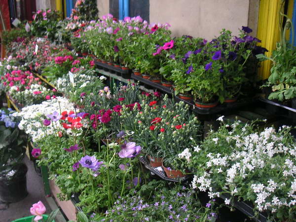 סיור שווקים וקניות בפריז | GoTravel